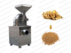 Ginger Processing Machine: Types, Features & Functions - Taizy