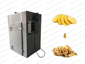 The Ultimate Guide to Types of Ginger Processing Machines - Taizy